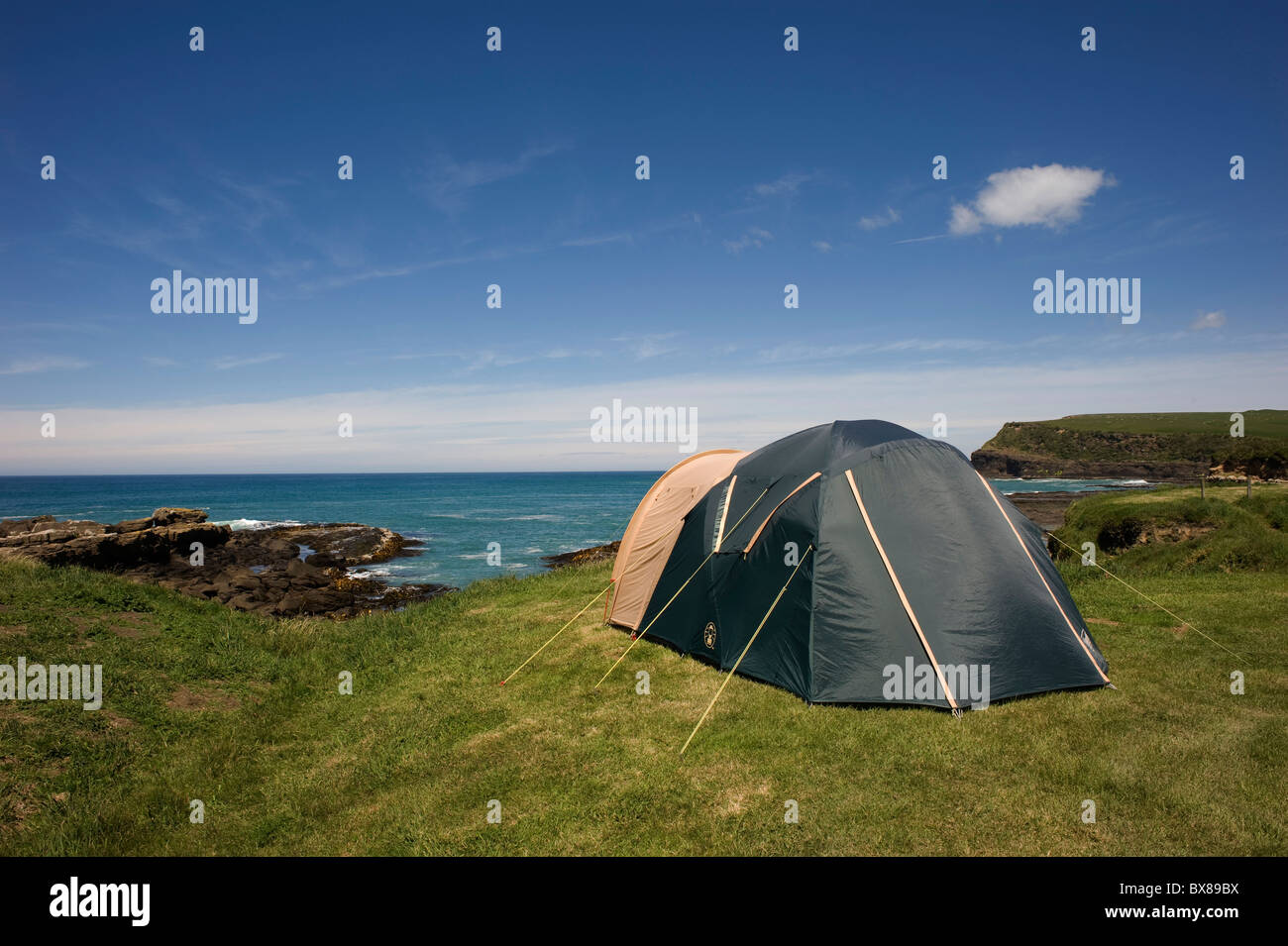 Curio Bays High Resolution Stock Photography and Images - Alamy
