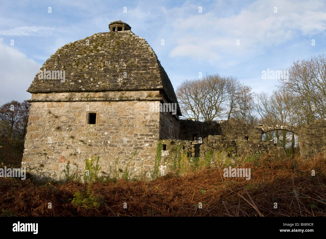 Llangoed High Resolution Stock Photography and Images - Alamy