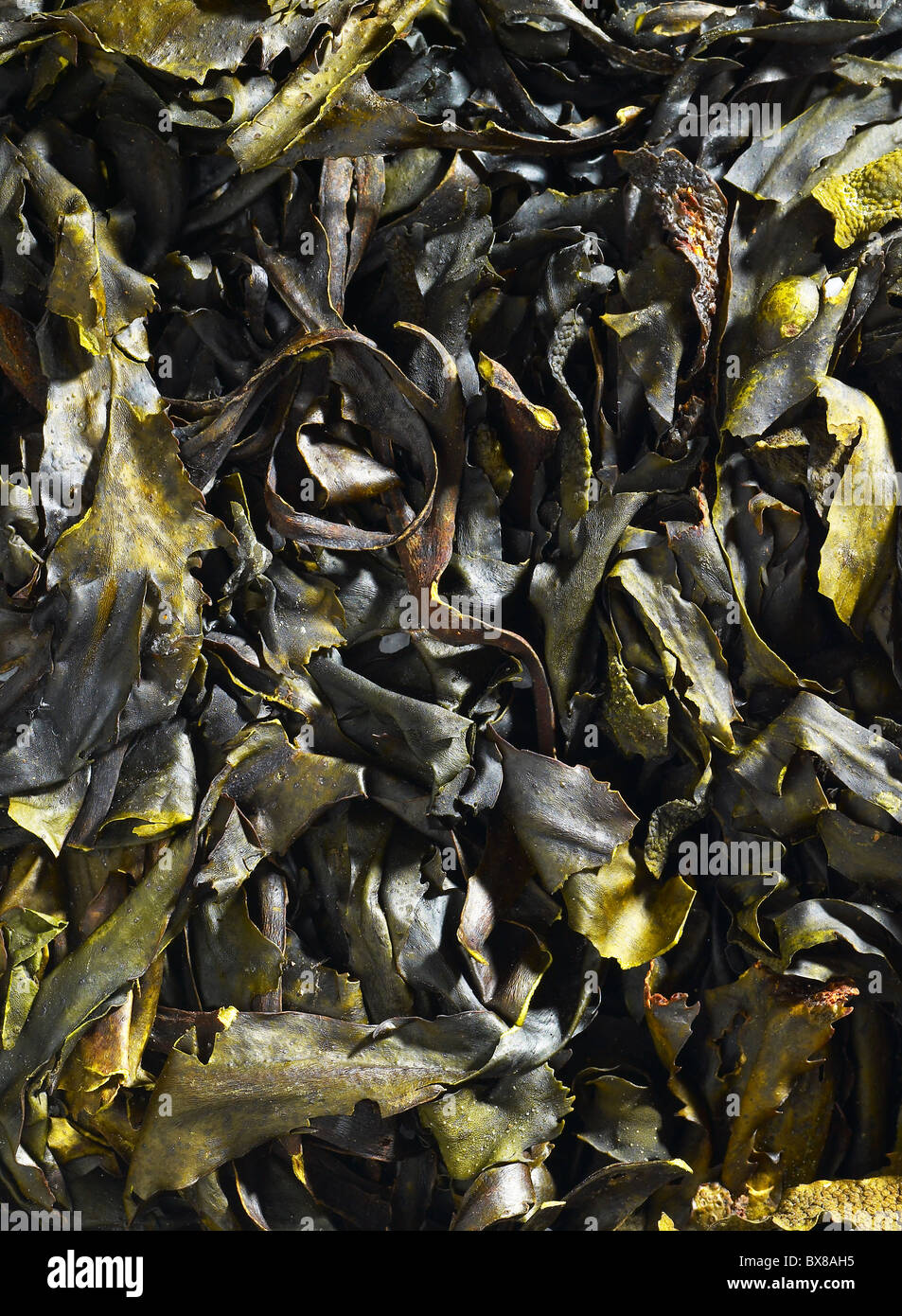 Seaweed salt hi-res stock photography and images - Alamy