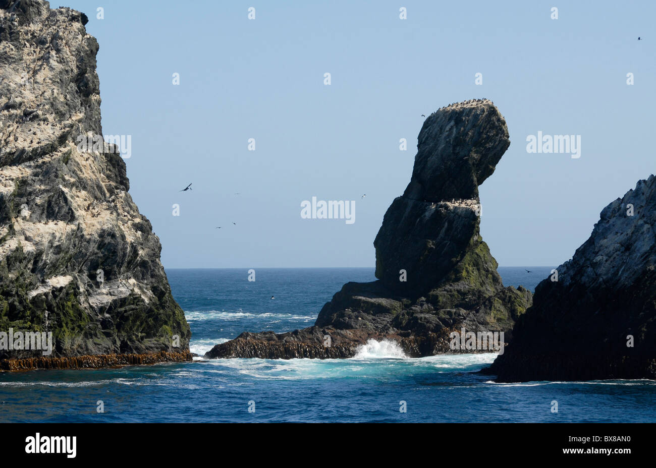 Shag rocks hi-res stock photography and images - Alamy