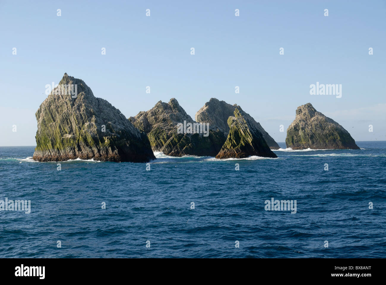 Shag rocks hi-res stock photography and images - Alamy
