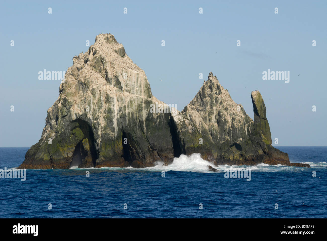 Shag rocks south georgia hi-res stock photography and images - Alamy