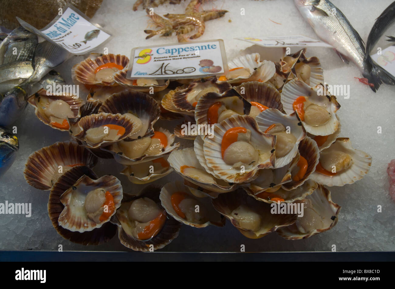 Scallops at Pecheria the Rialto seafood market Venice the Veneto ...