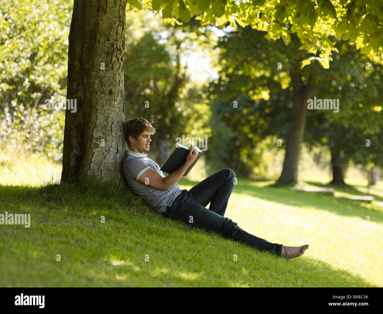 Man Sitting Under Tree Reading High Resolution Stock Photography and ...