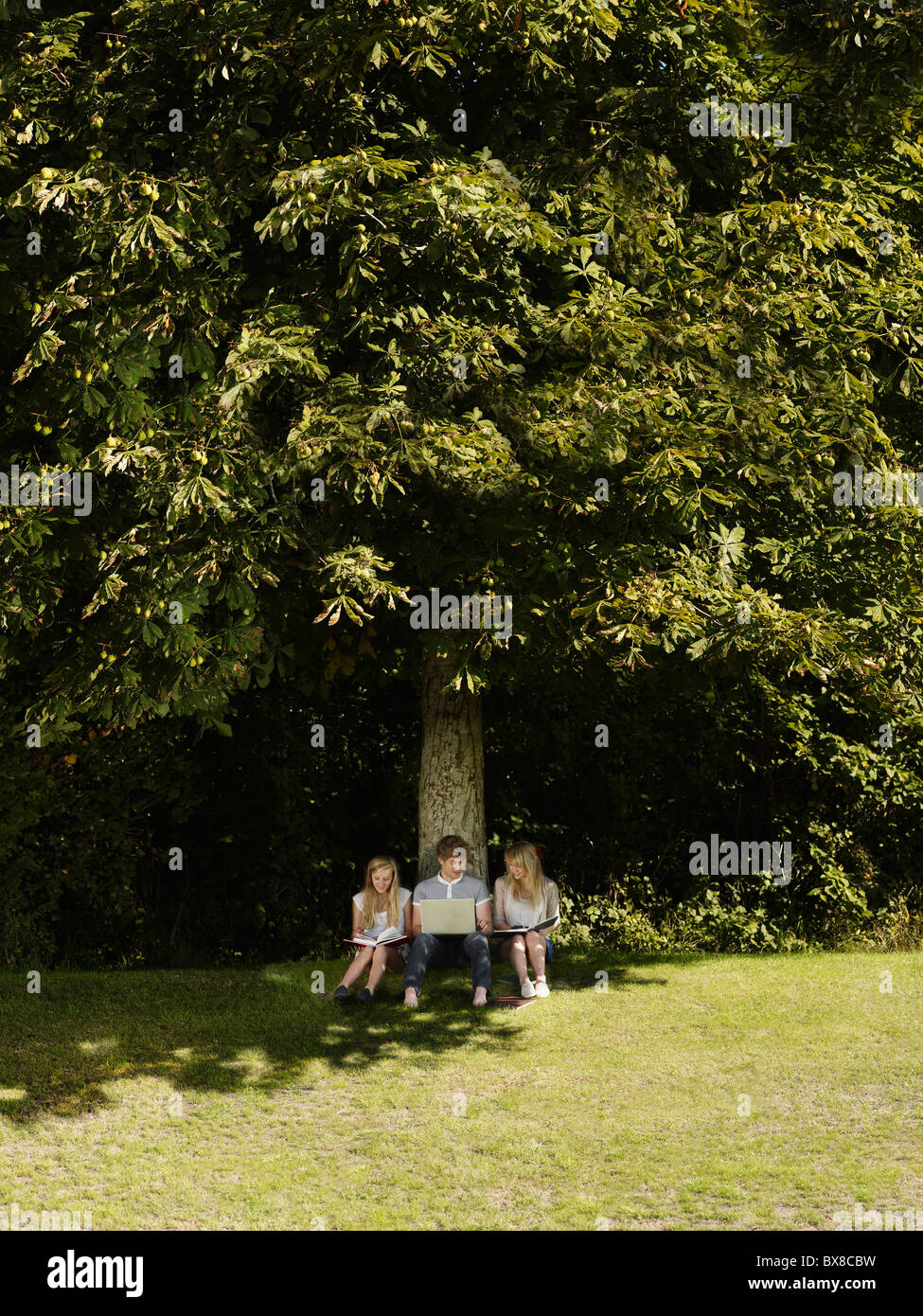 Man Sitting Under Shade Tree High Resolution Stock Photography and ...