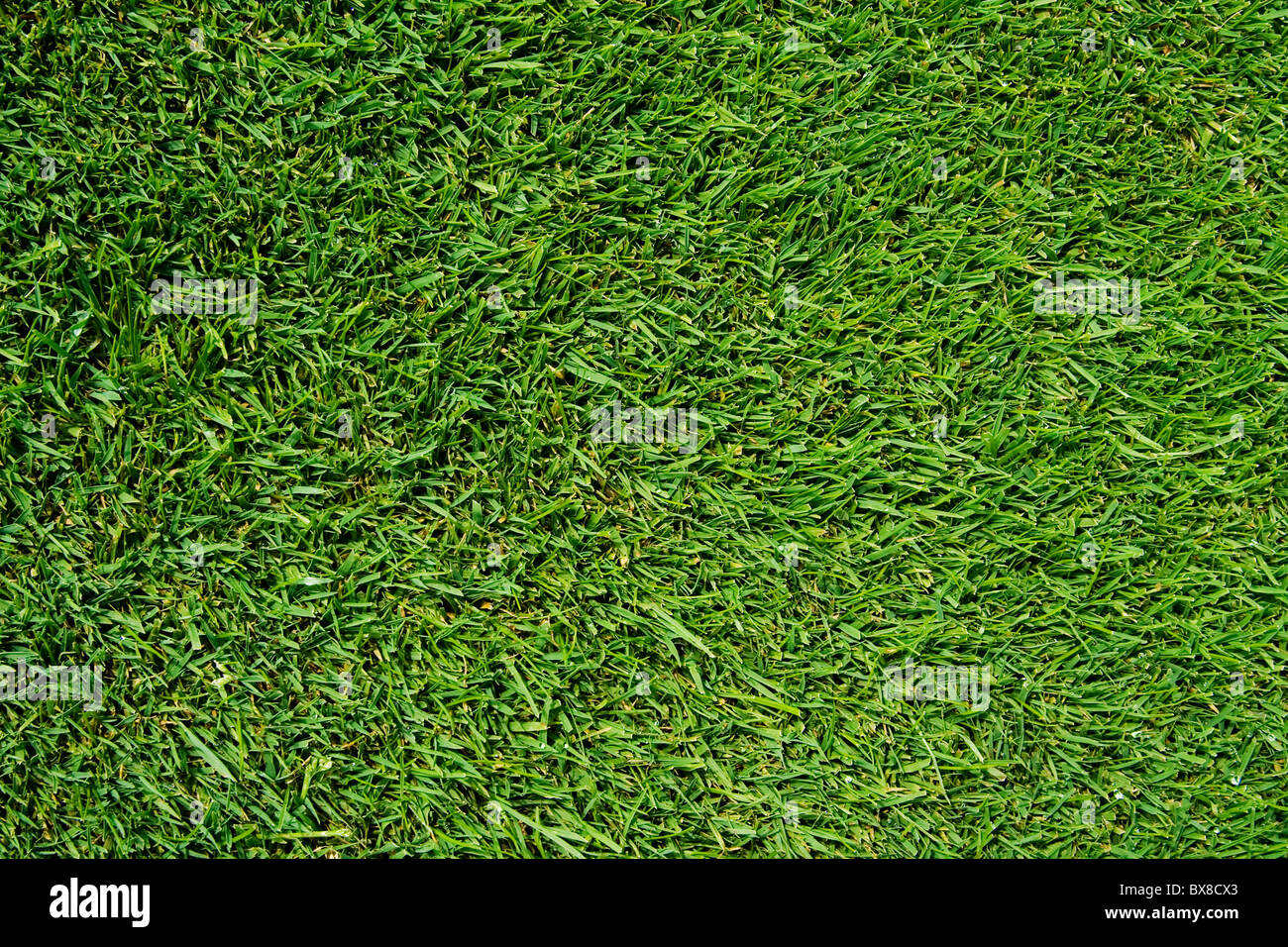 Grass plot hi-res stock photography and images - Alamy