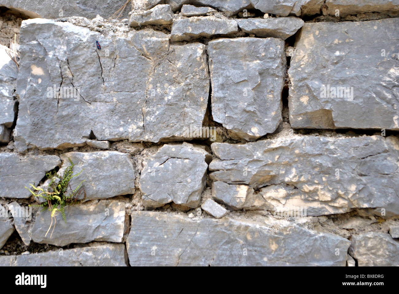 Embedded tile hi-res stock photography and images - Alamy