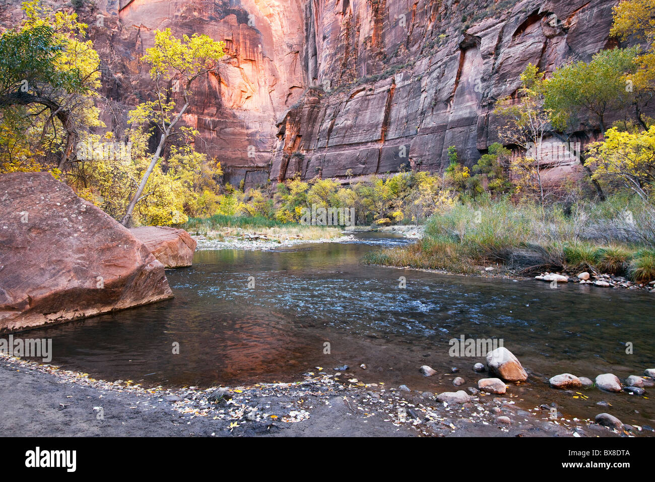 Zion national park autumn reflections hi-res stock photography and ...