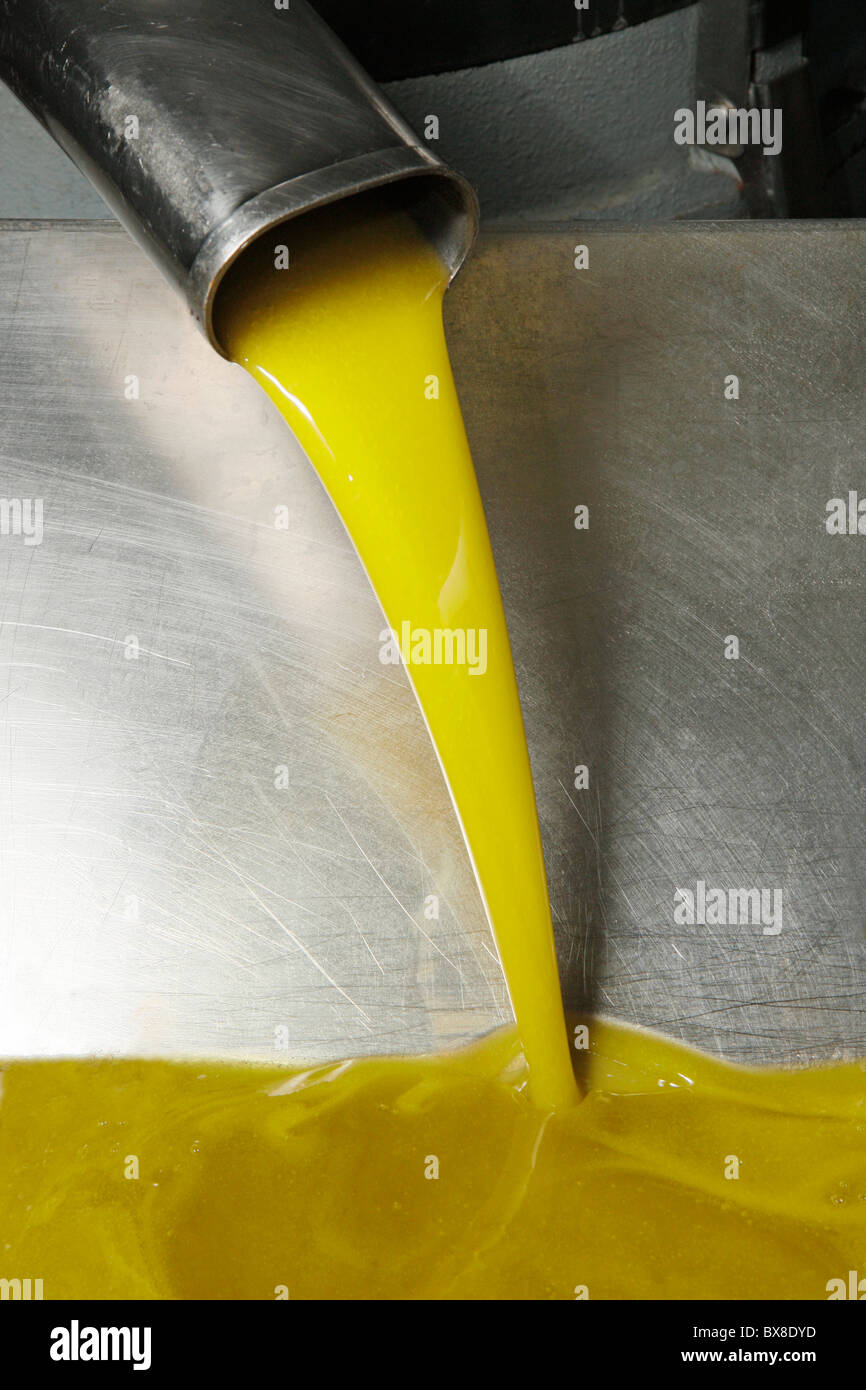 Olive oil extraction machine hi-res stock photography and images - Alamy