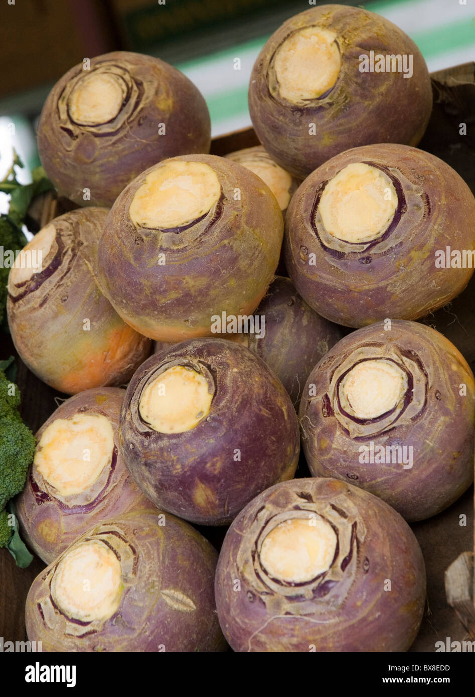 Swede Vegetable Vs Turnips