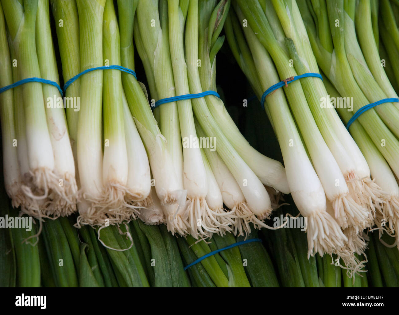 Marketplace mansfield hi-res stock photography and images - Alamy
