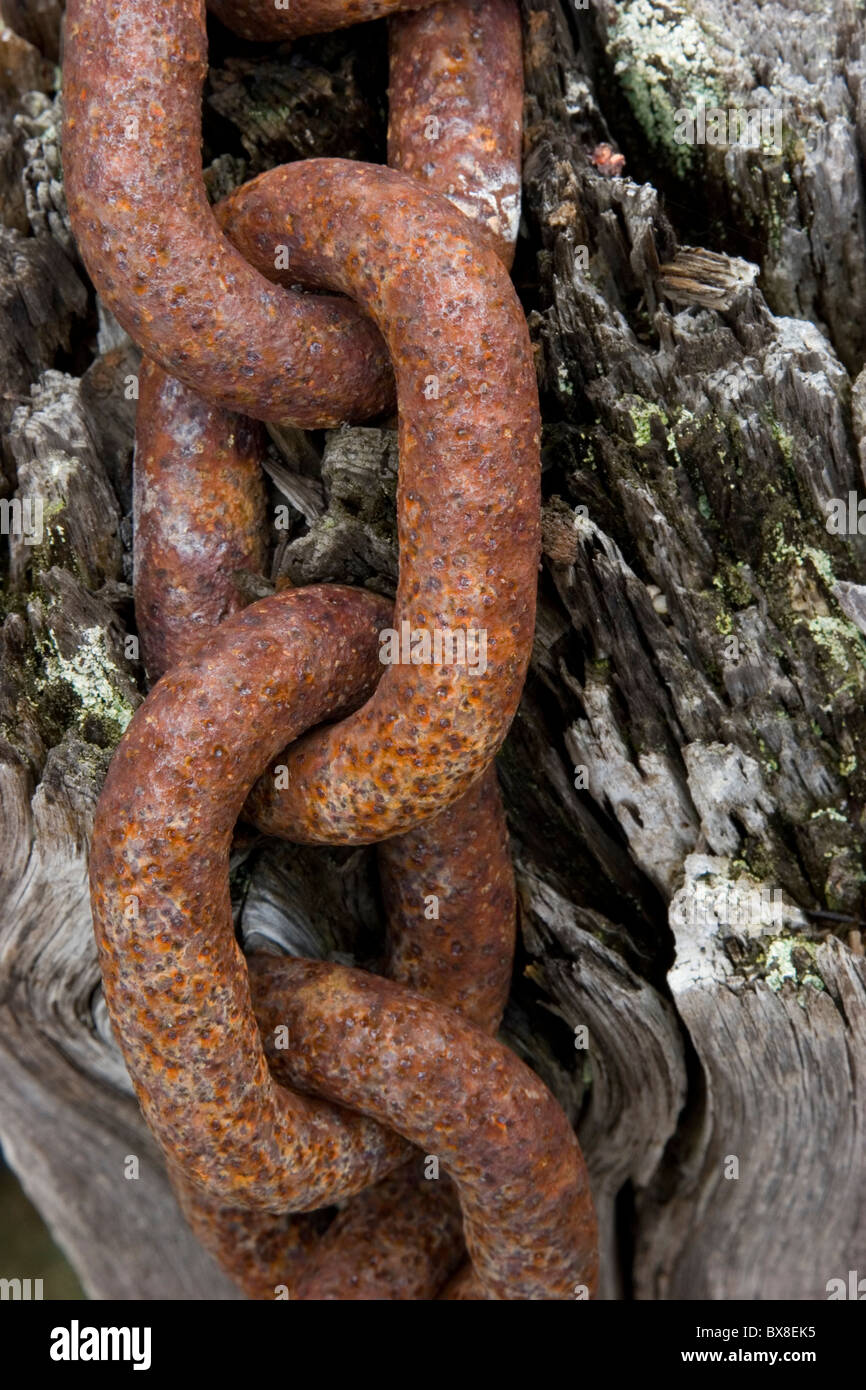 Rusty chain links on wood close up vertical Stock Photo - Alamy
