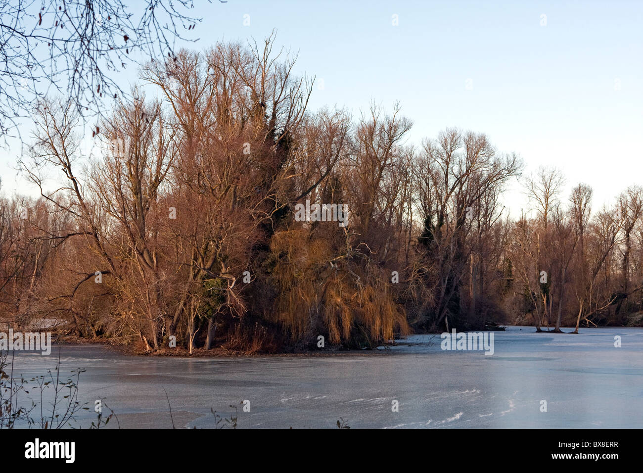 Paxton pits nature reserve hi-res stock photography and images - Alamy