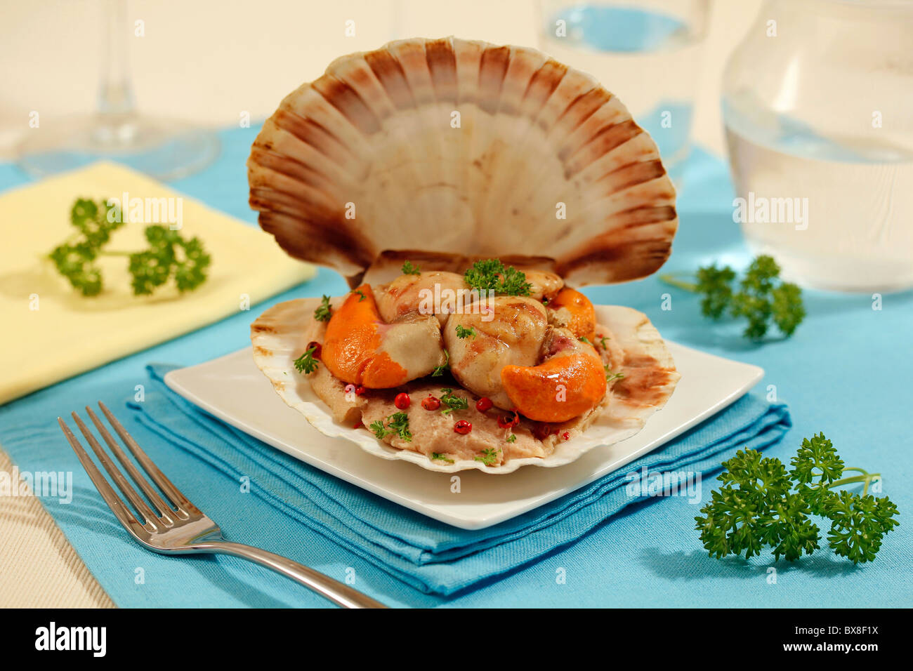 Open scallop shell hi-res stock photography and images - Alamy