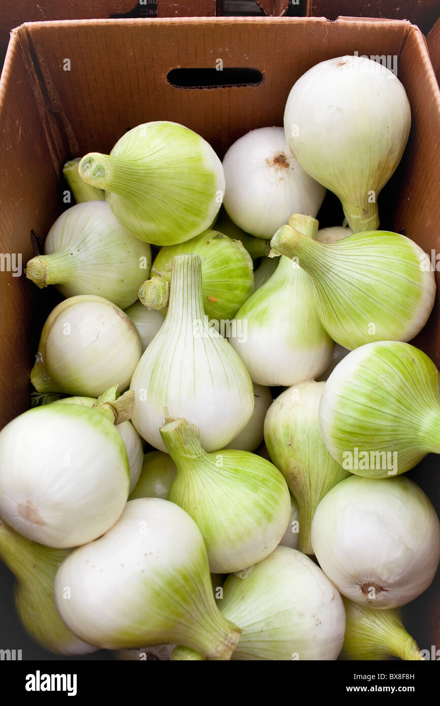 Onion box hi-res stock photography and images - Alamy