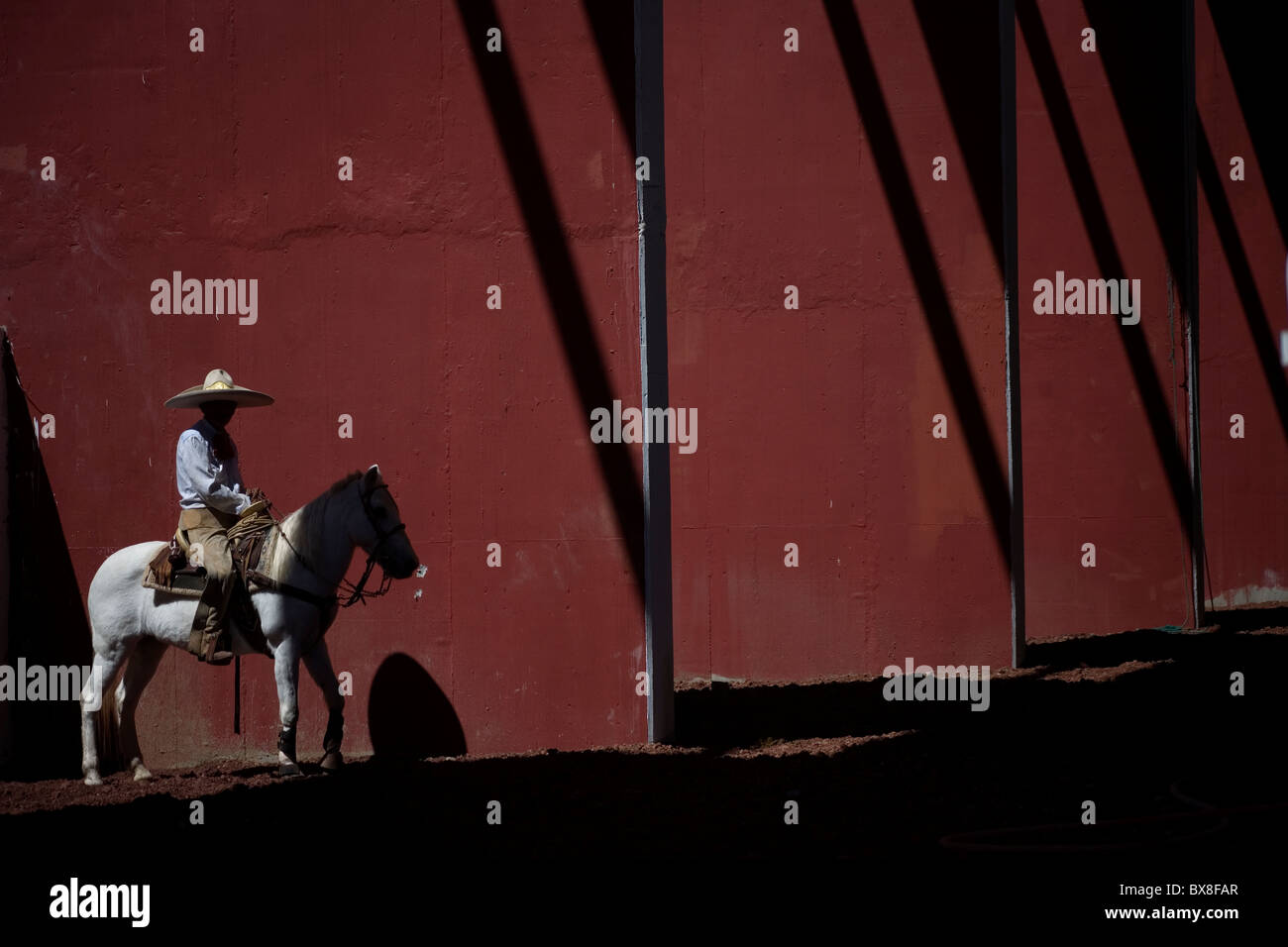 A Mexican charro ride his horse at the National Charro Championship in ...