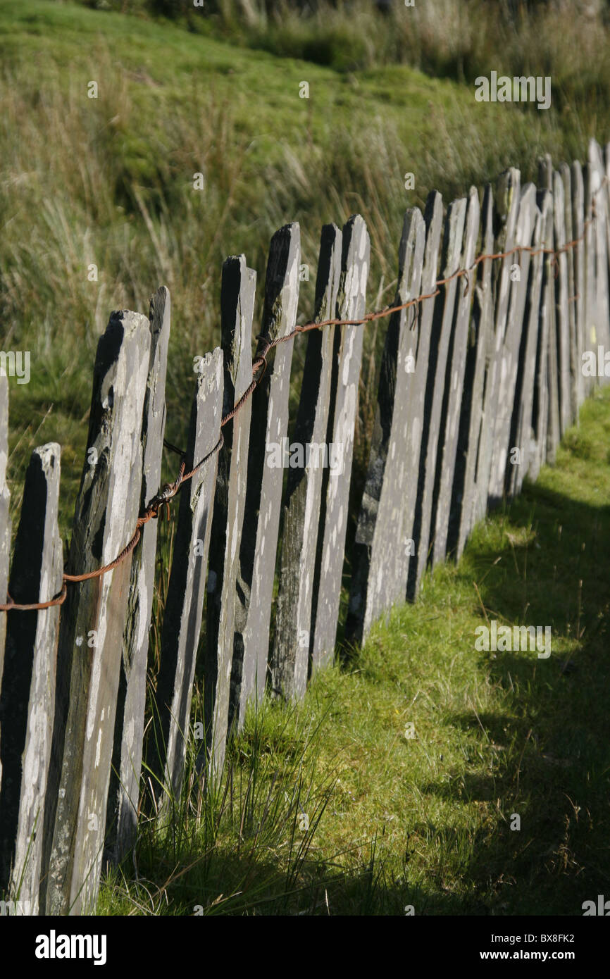 old slate fence wall in snowdonia, north wales Stock Photo - Alamy