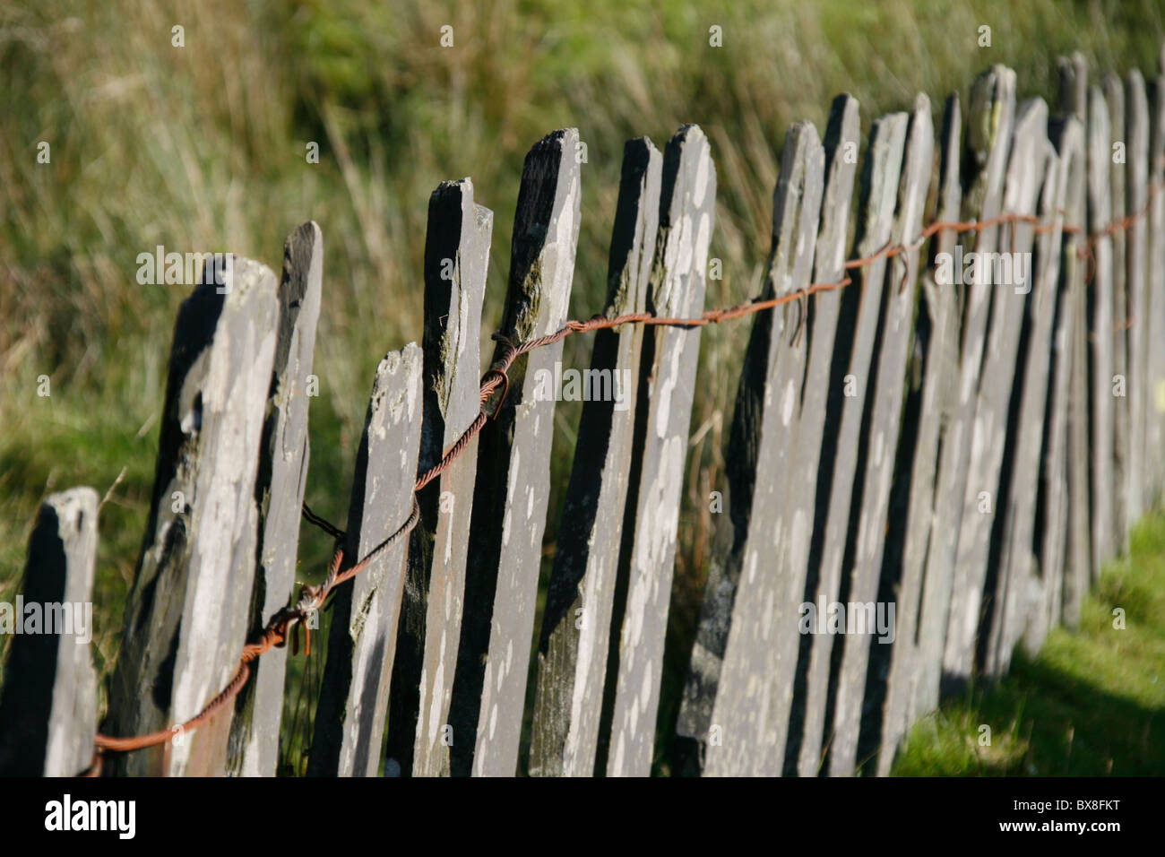 old slate fence wall in snowdonia, north wales Stock Photo - Alamy