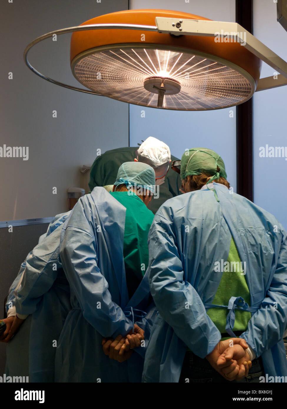 Group of 4 doctors following a lesson in the hospital Stock Photo - Alamy