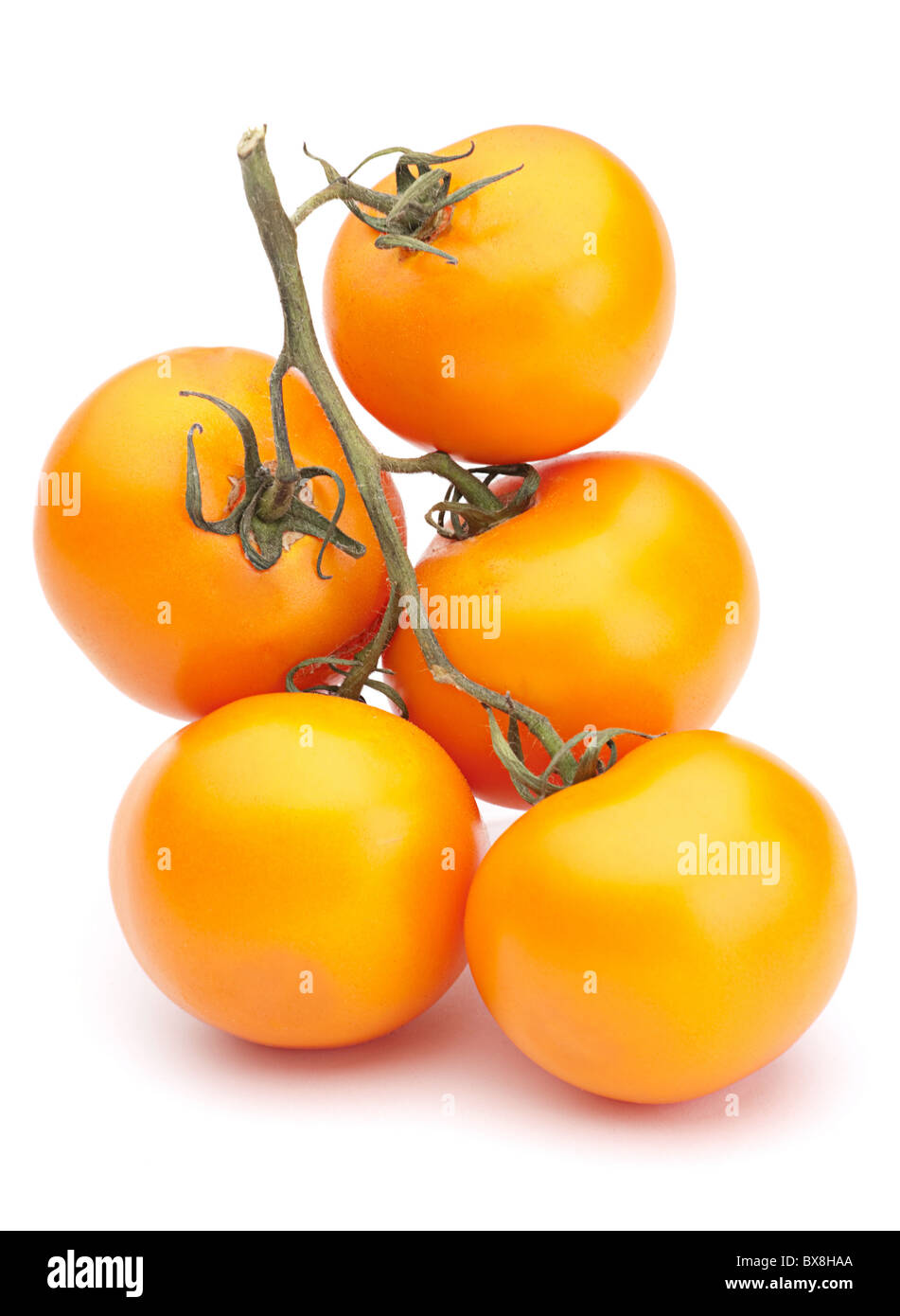 Little Yellow Tomatoes