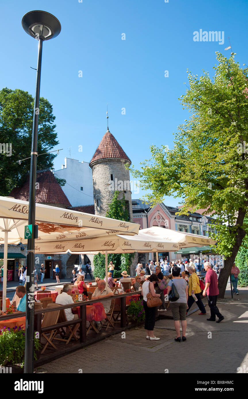People sat outside a cafe in Tallinn, Estonia, Baltic States Stock ...
