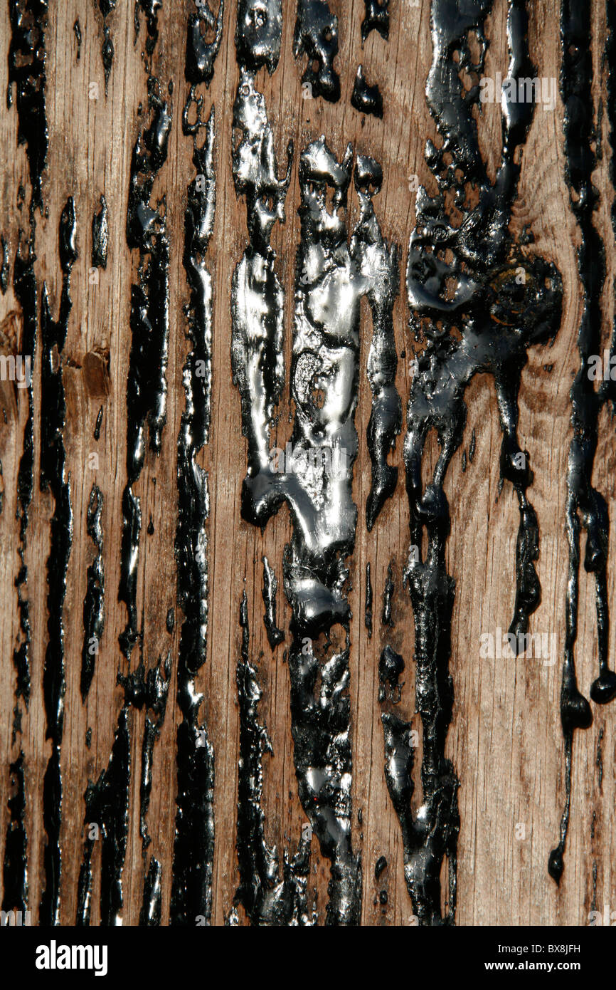 black tar running down wooden telegraph pole Stock Photo - Alamy