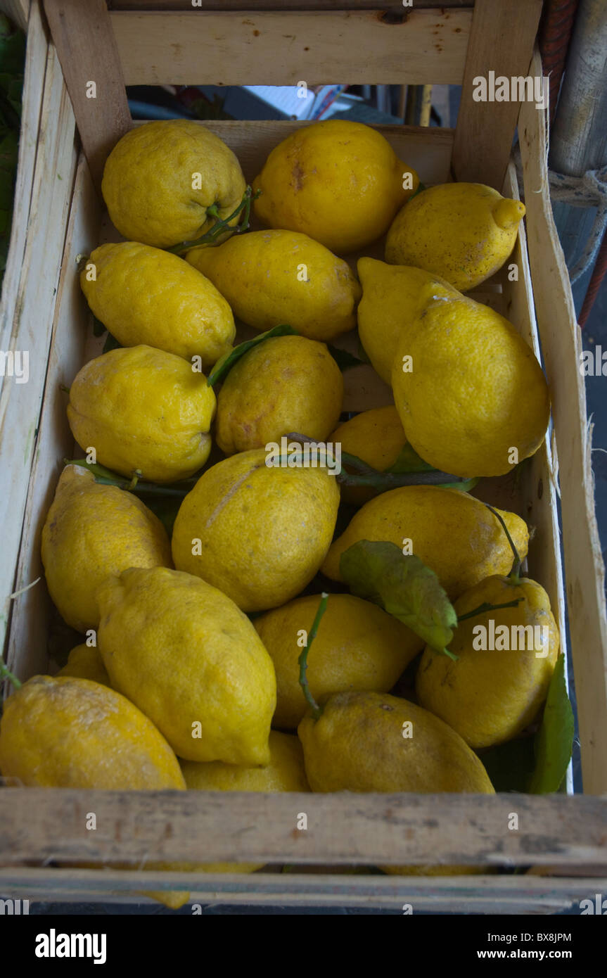 Lemons at Campo de Fiori market centro storico central Rome Italy ...
