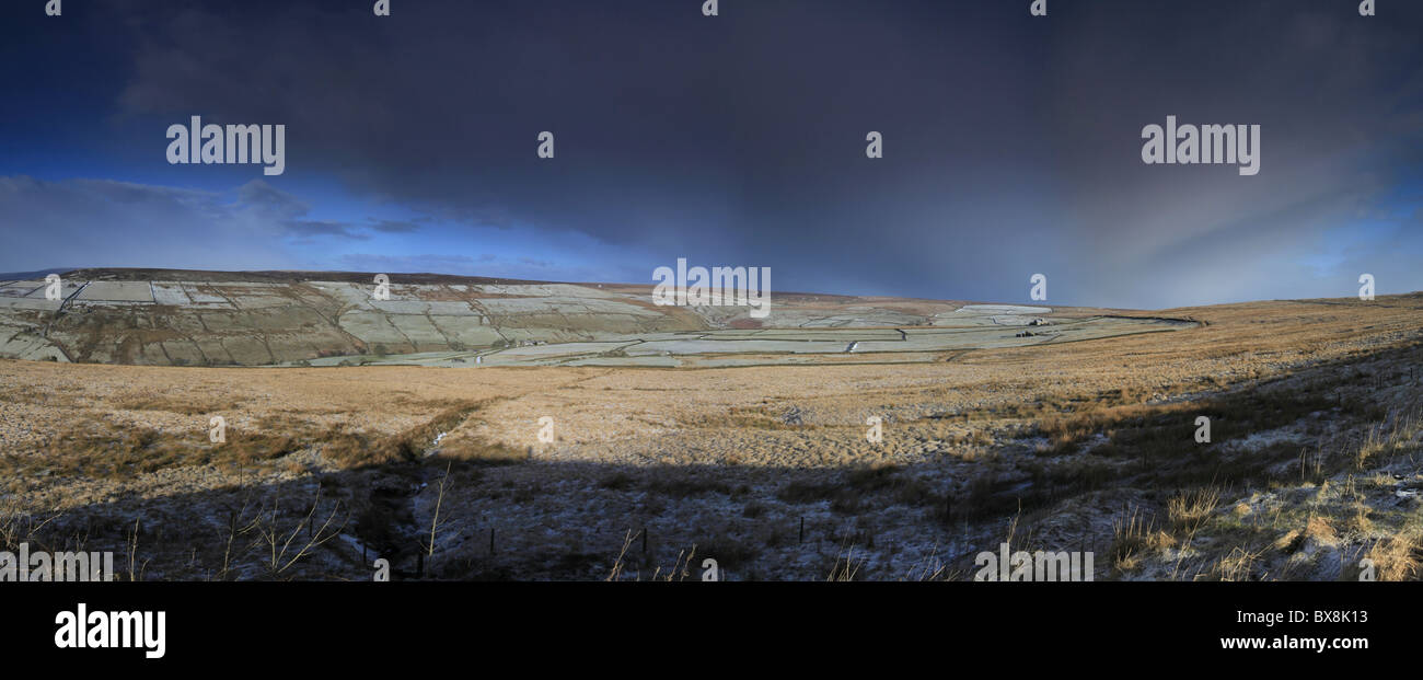 Clowder hi-res stock photography and images - Alamy