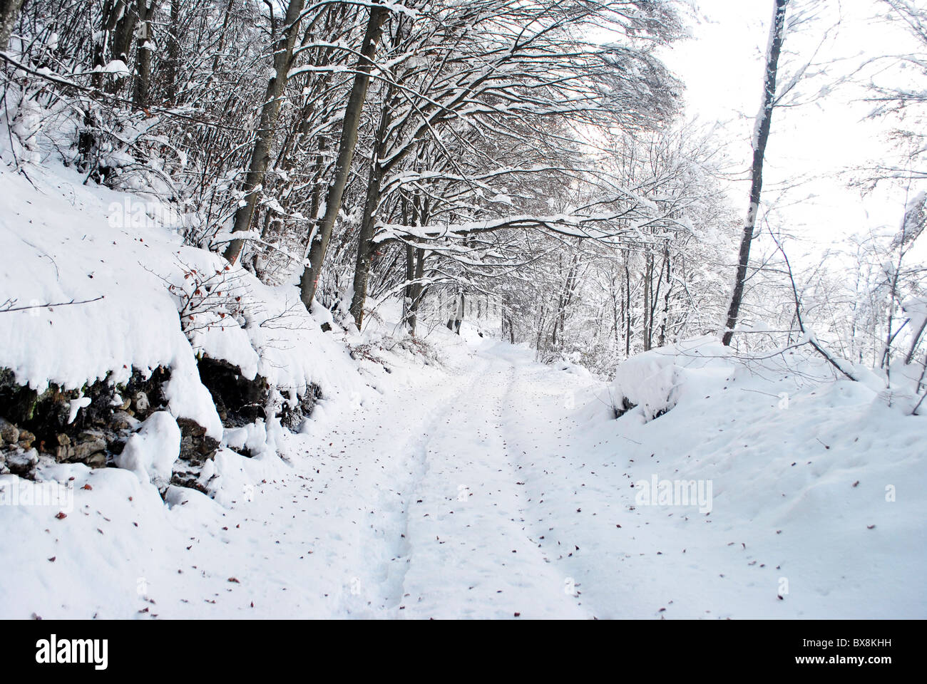 Fog covered field mountains covering hi-res stock photography and ...