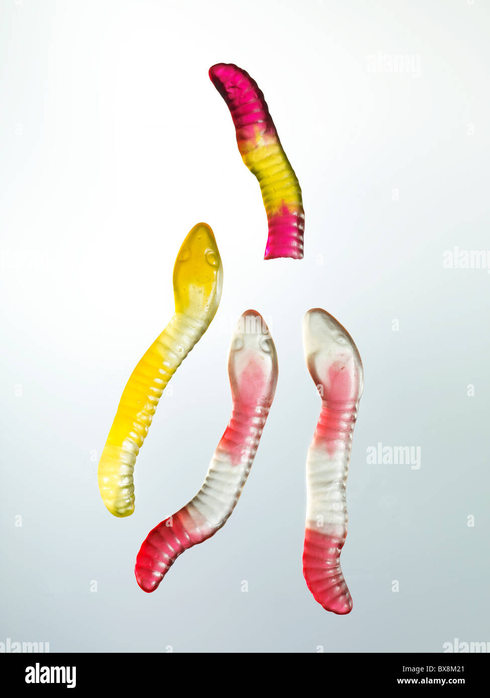 Edible snakes hi-res stock photography and images - Alamy