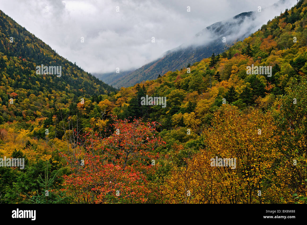 Crawford notch state park fall hi-res stock photography and images - Alamy