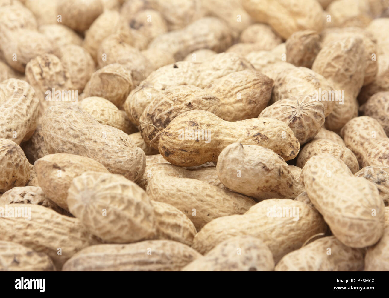 Peanut in shell Stock Photo - Alamy