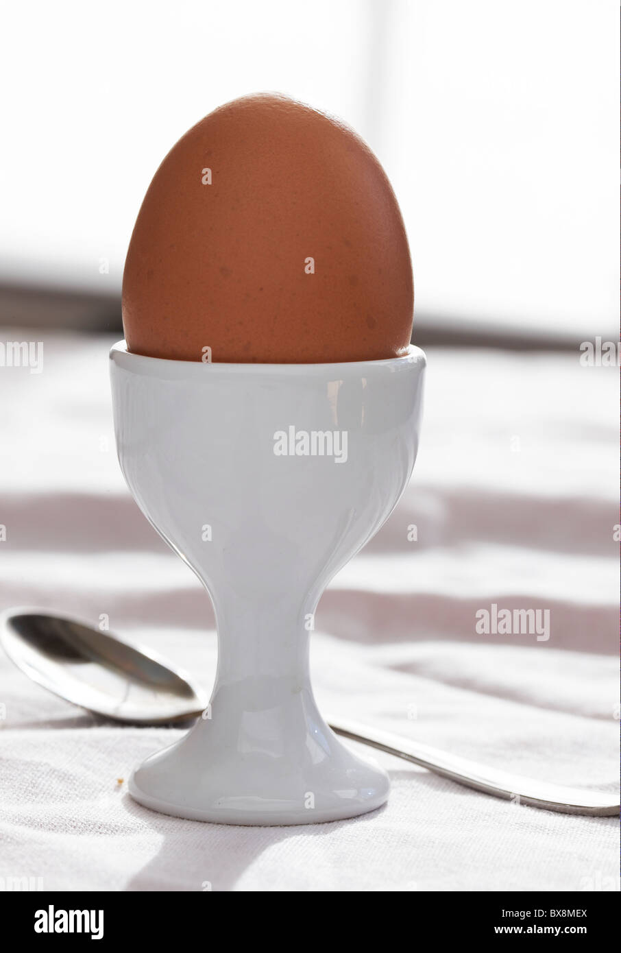 Egg layers hi-res stock photography and images - Alamy