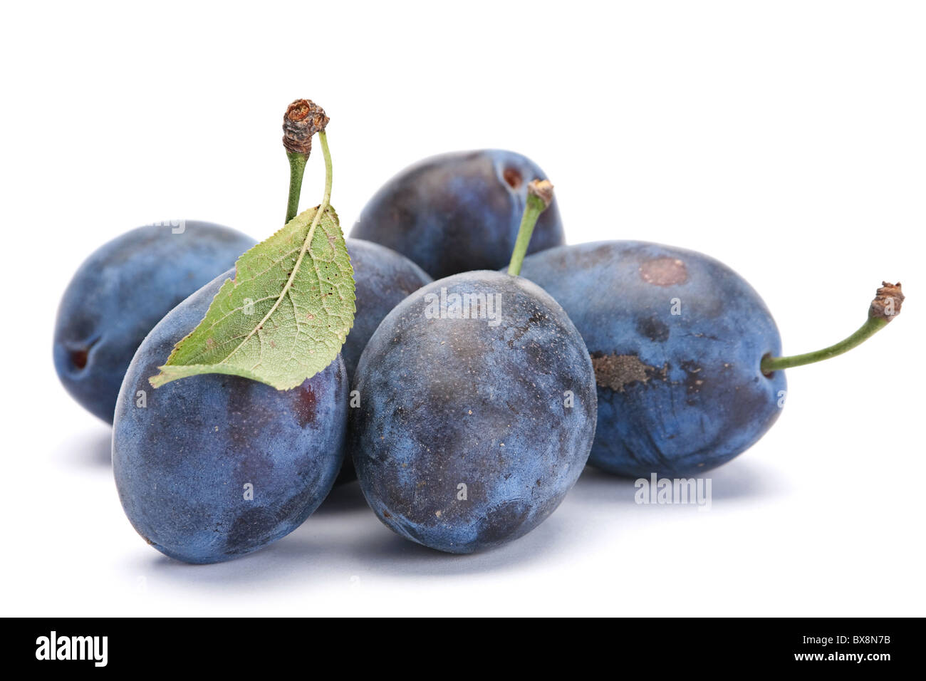 Blue plum with leaf Stock Photo - Alamy