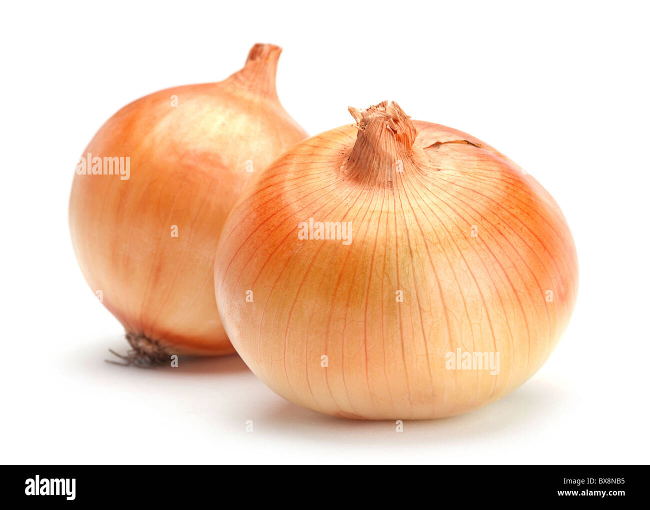 Image onion Cut Out Stock Images & Pictures - Alamy