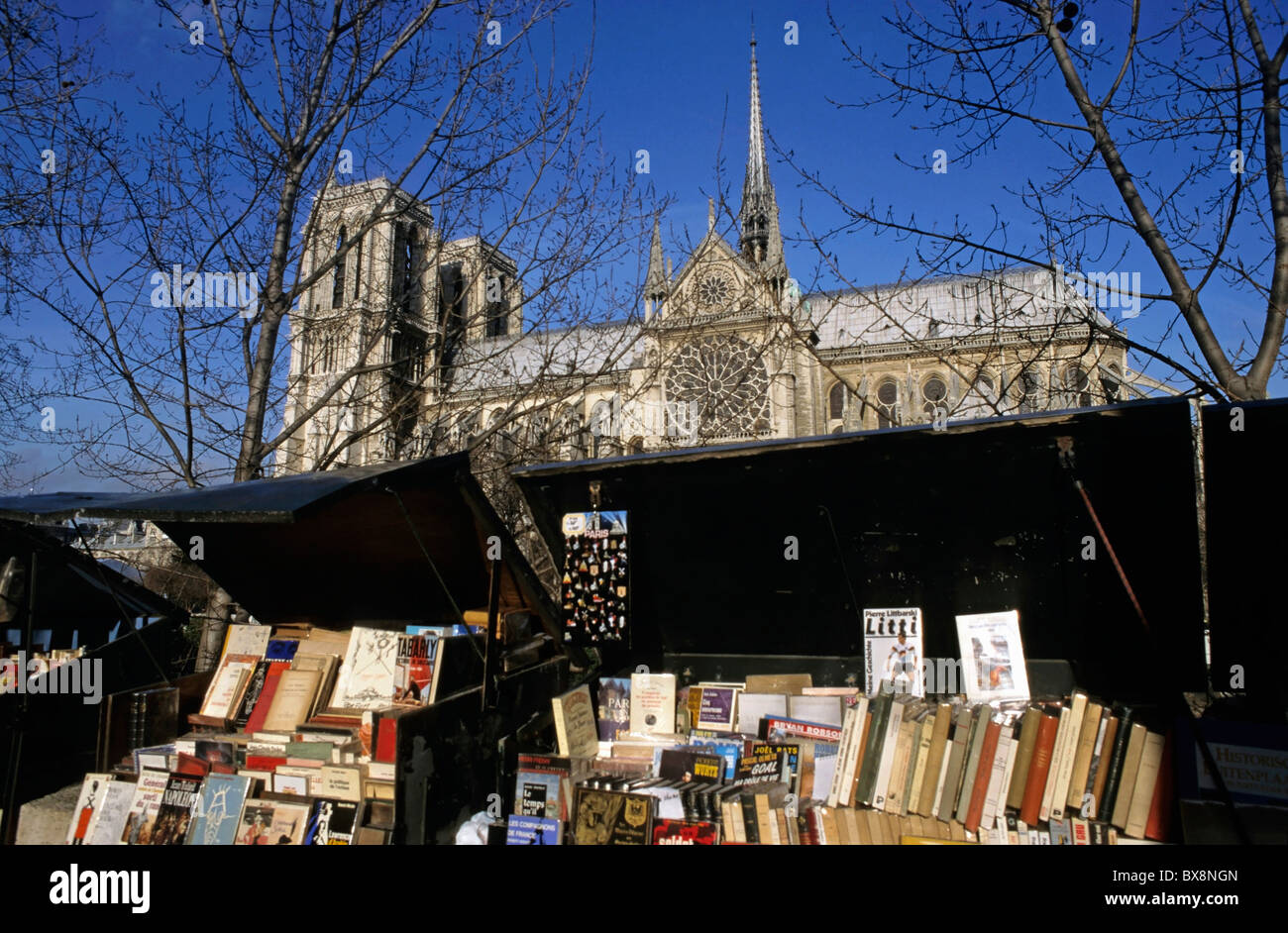 Books on display on a book stall in front of Notre Dame de Paris, Paris ...
