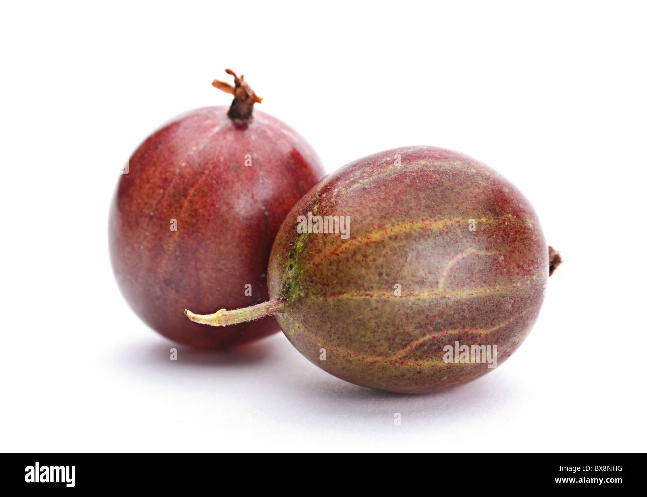 Gooseberry fruit hi-res stock photography and images - Alamy
