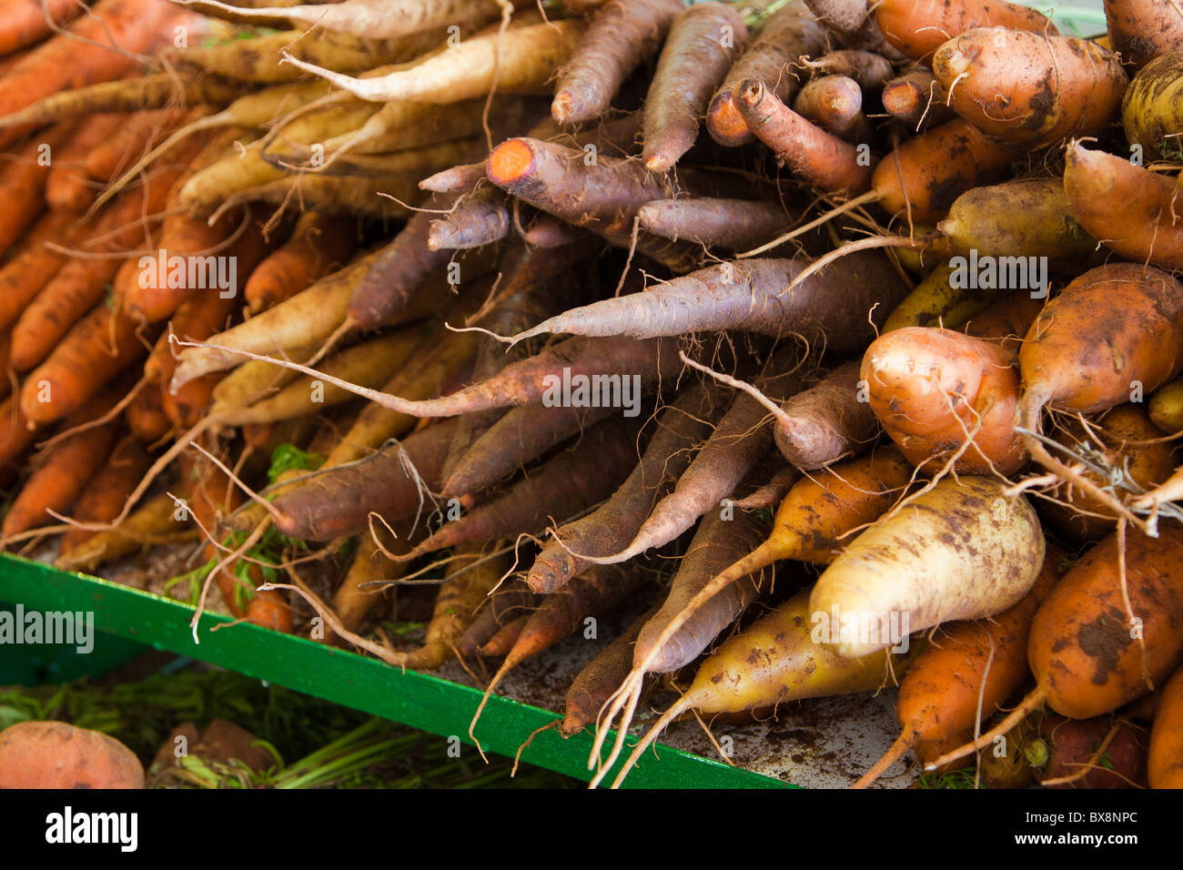 Carrots on display in market Stock Photo - Alamy