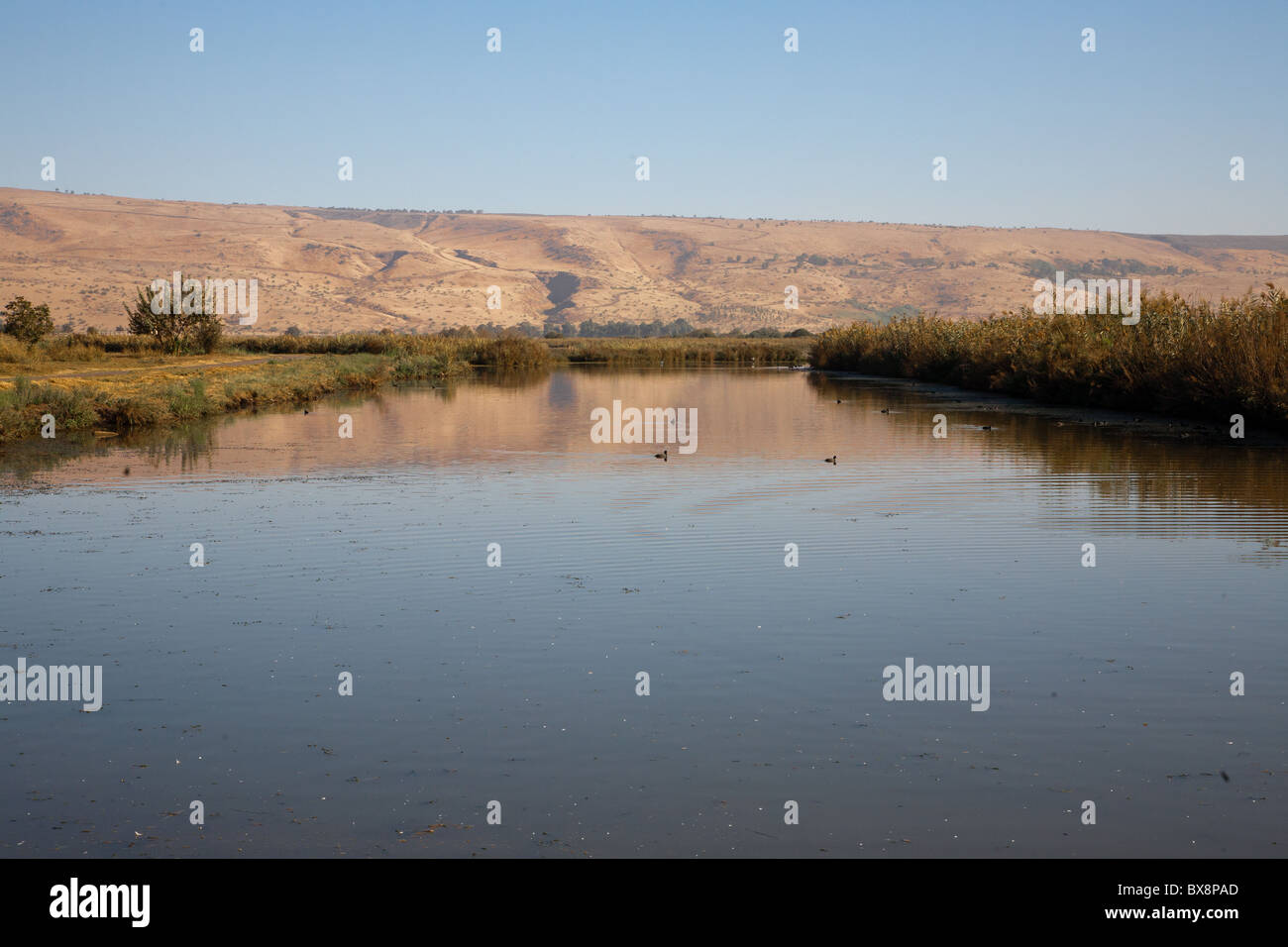 Agamon Hula is an artificial lake created by flooding of the area in ...