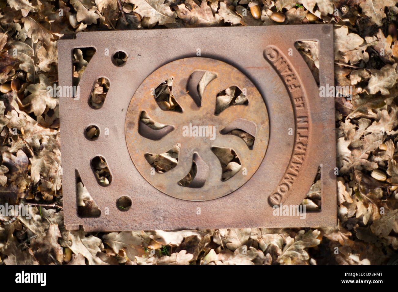 Wood burning oven plate Stock Photo - Alamy