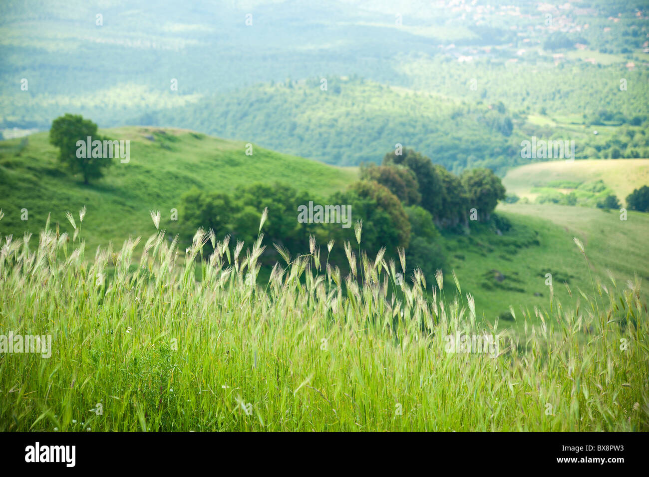 Green grass hillside hi-res stock photography and images - Alamy