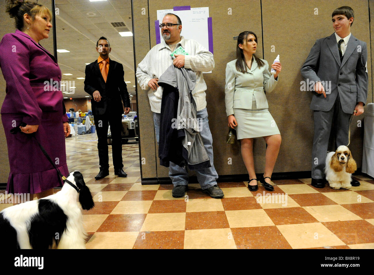 Dogs and their owners await their turn to compete during the ASC ...