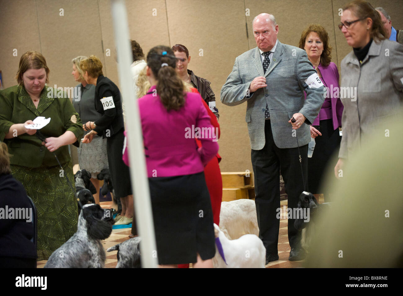 Dog handlers prepare to compete during the ASC Flushing Spaniel Show at ...