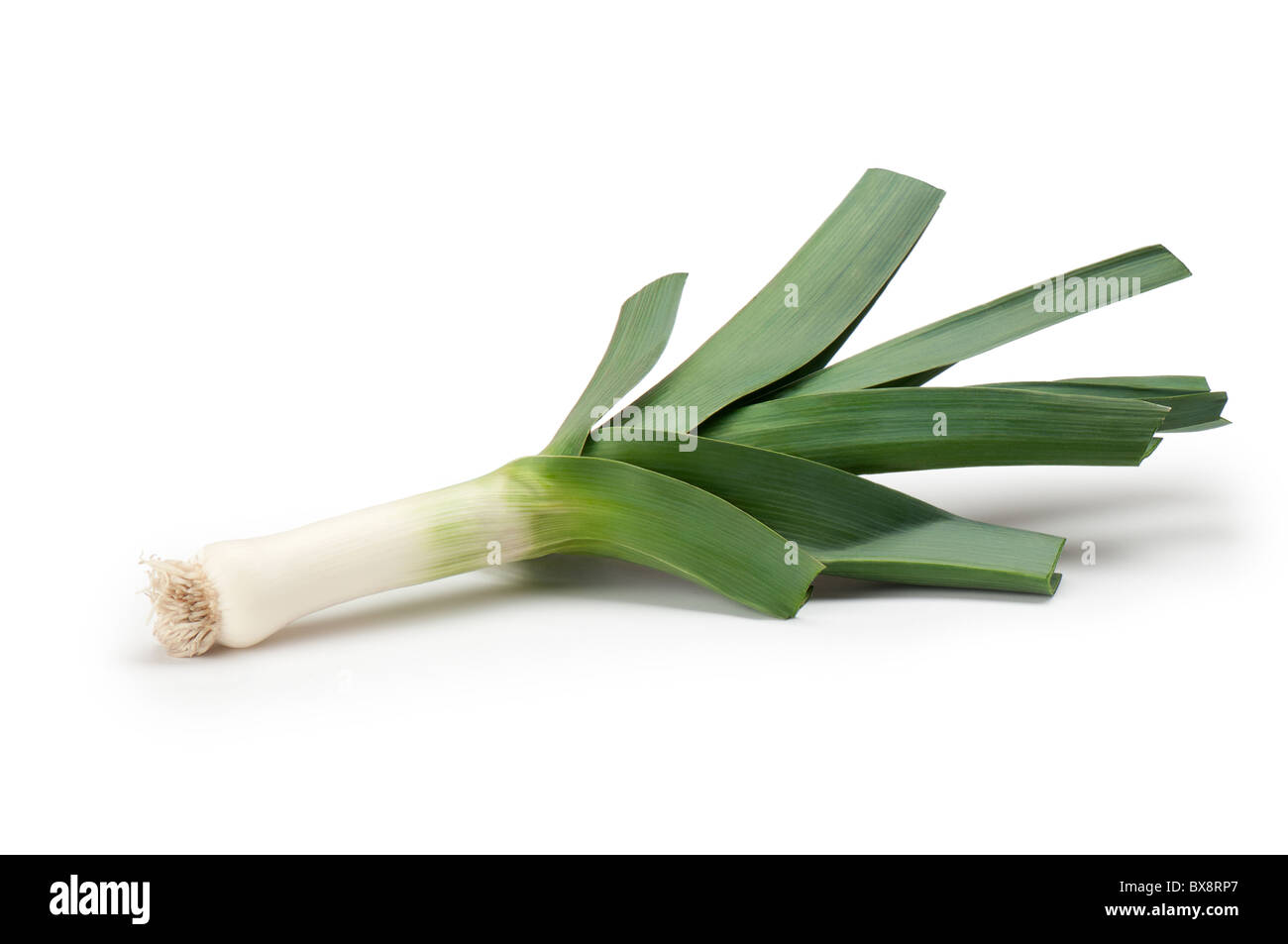 Leek on a white background Stock Photo - Alamy