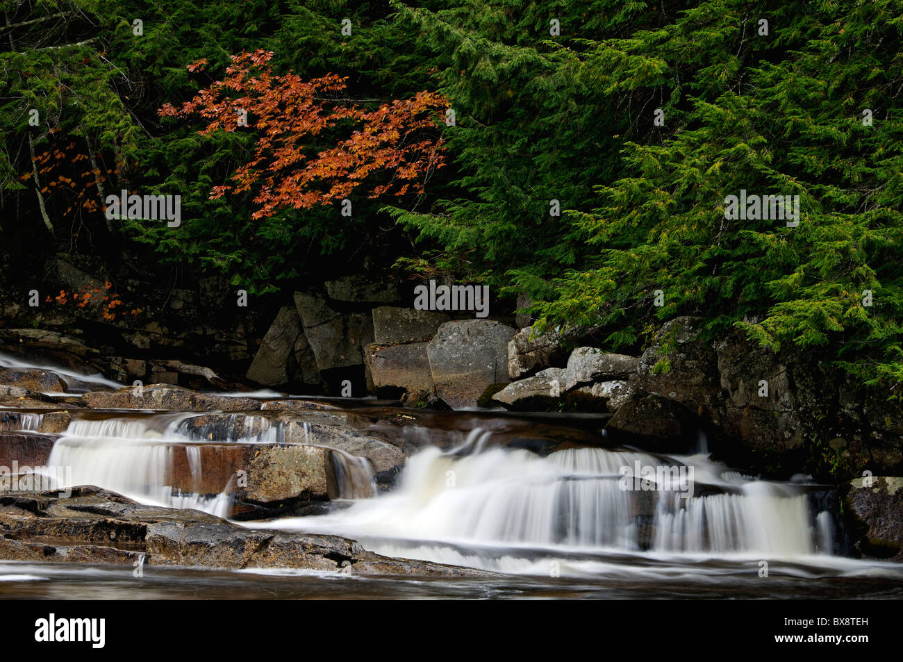 Small Cascade and Autumn Color on the Wildcat River in the Jackson ...