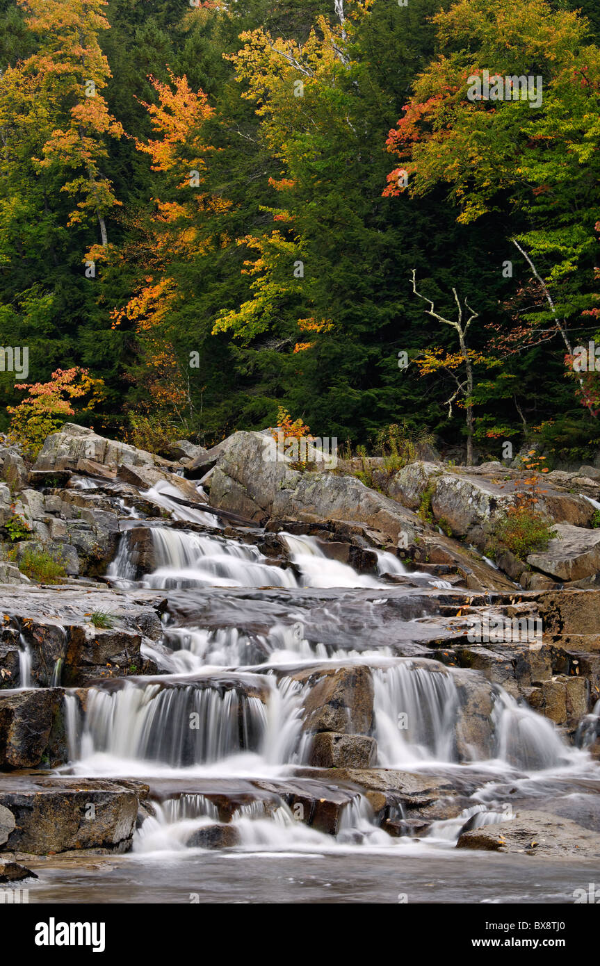 Series of Cascades and Autumn Color on the Wildcat River at Jackson ...