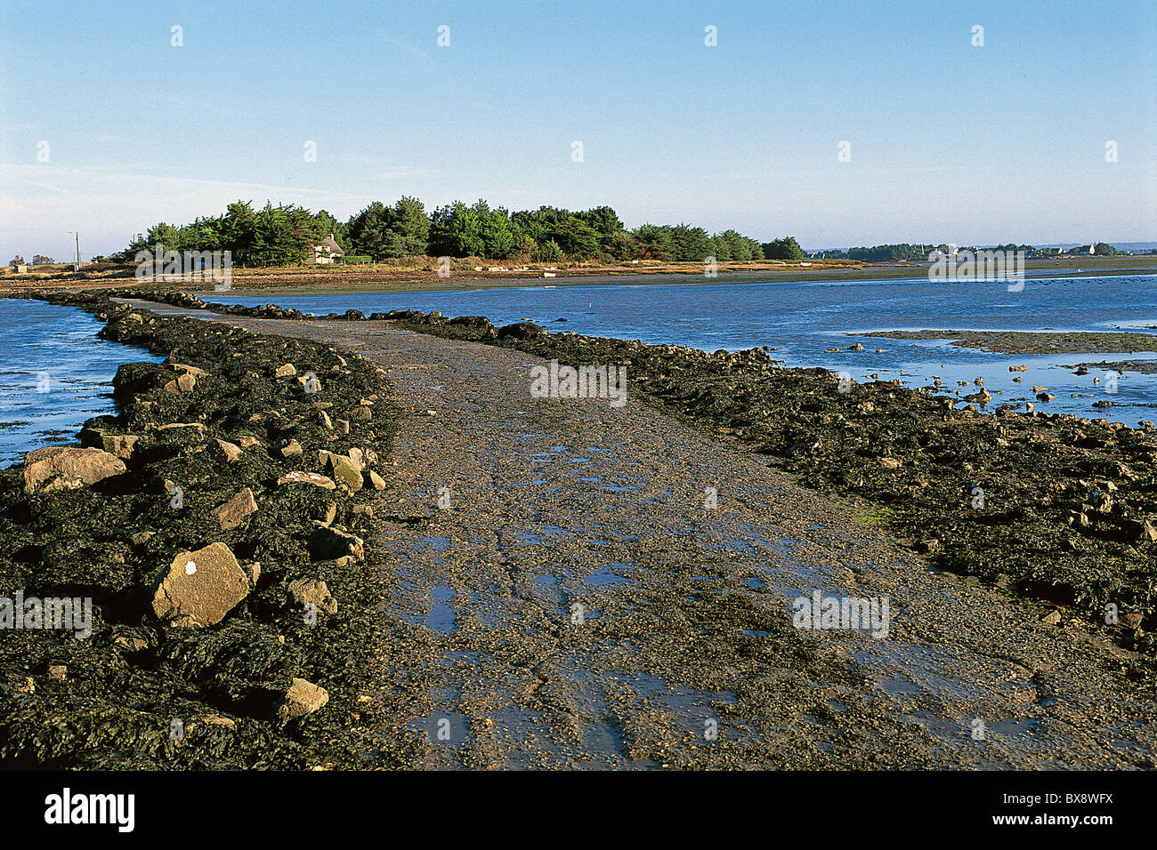 France, Brittany, Morbihan, Tascon Island, Dike submerged during high ...