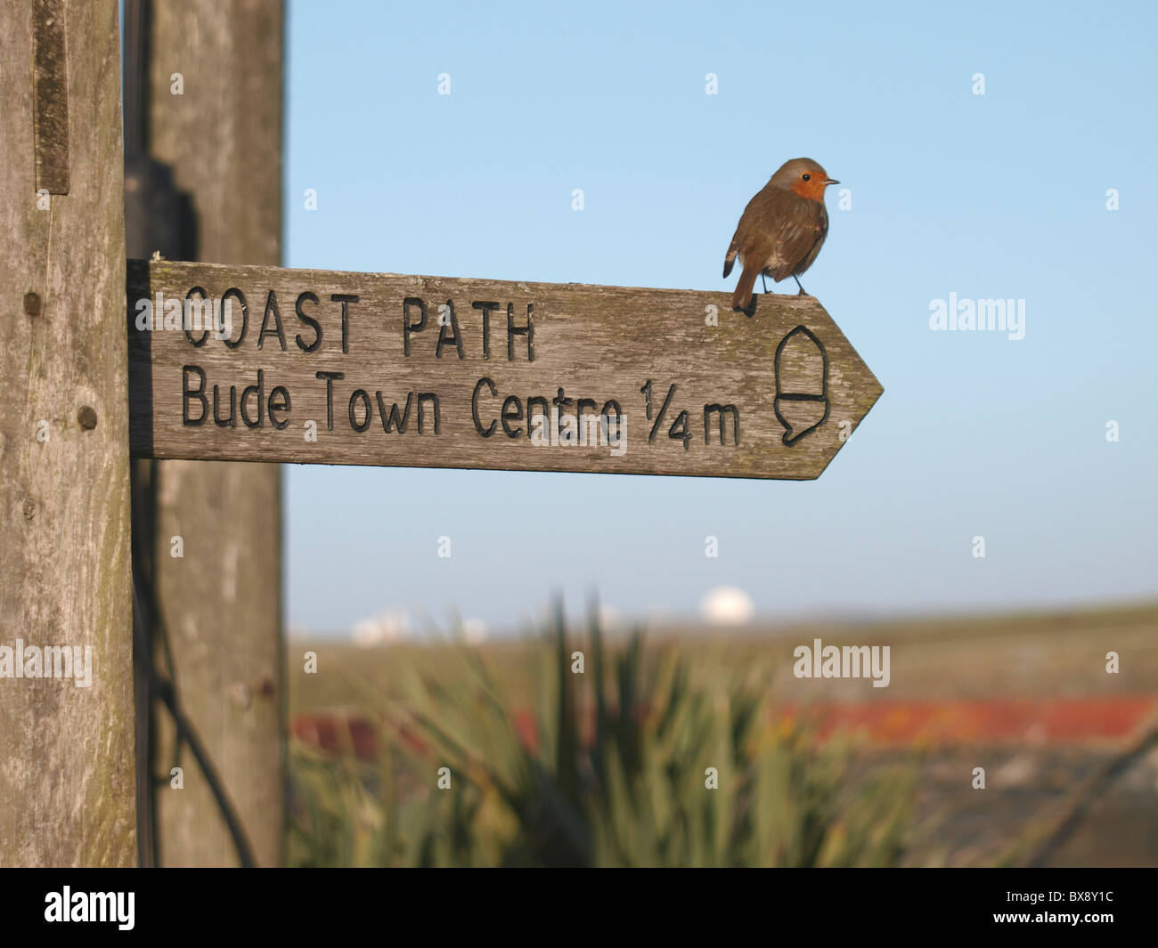 Robin on post hi-res stock photography and images - Alamy