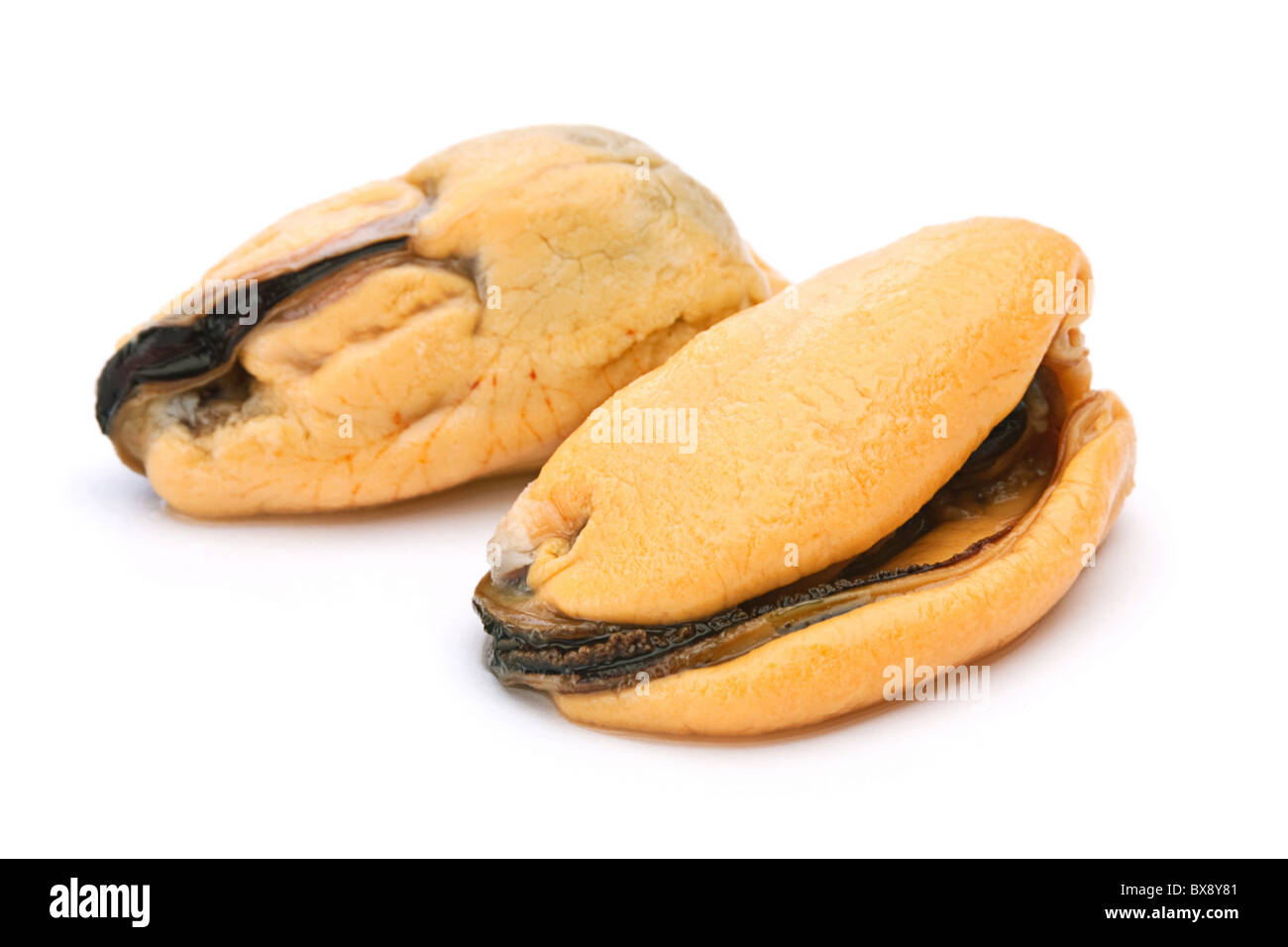Boiled yellow mussel Stock Photo - Alamy