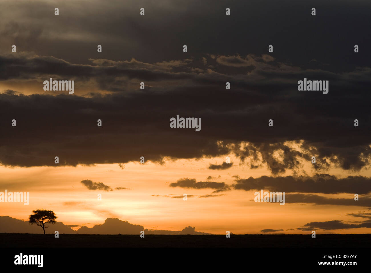 African sunset over the Masai Mara, Kenya Stock Photo - Alamy